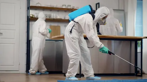 Pest Control Services in India | MA Pest Control LLP